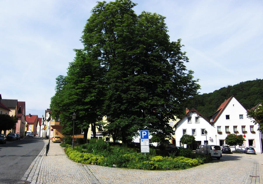 Markt Wirsberg: Vereine und Verbände